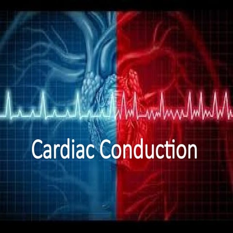 Cardiac Conduction and basic rhythm understanding | PPTX