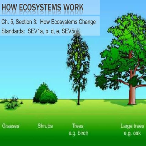 Unit 2 a ch 5 s3 how ecosystems change | PPTX