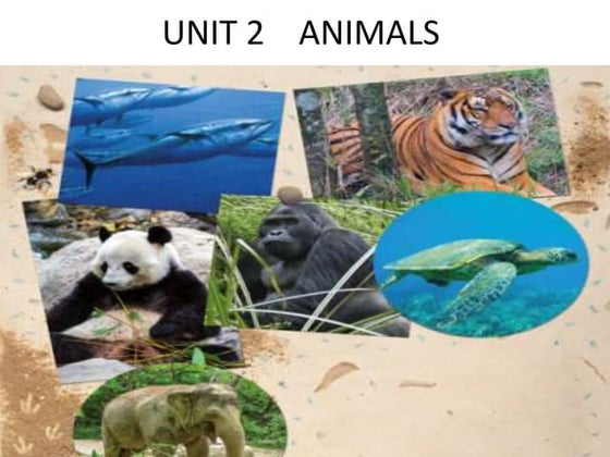 Animal parts and their functions | PPT