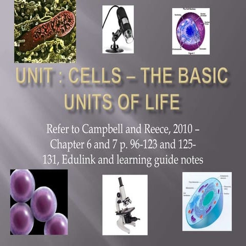 Unit 2 cells | PPTX | Biological Sciences | Science