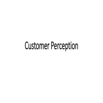 study about the customer perception | PPT