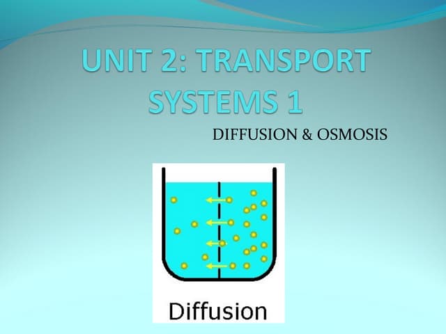Unit 2 Diffusion And Osmosis Ppt