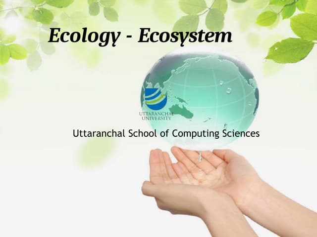 Ecosystem:Structure and Function | PPTX