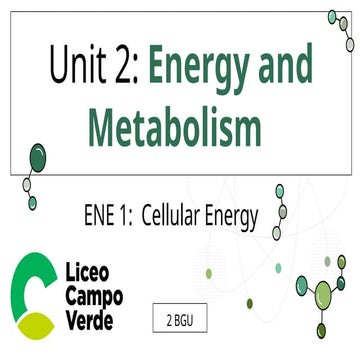 UNIT 2_ Energy and Metabolism - ENERGY 1 Cellular Energy FV.pptx