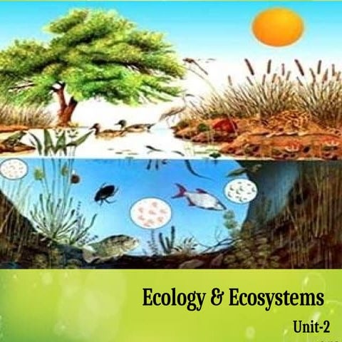 Unit 2 Forest Ecology and environmental science | PPT