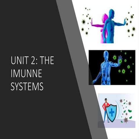 Lsafet unit 2 immune systems | PPTX