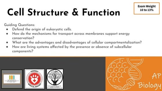 Cell Structure & Function | Cambridge IGCSE Biology | PDF
