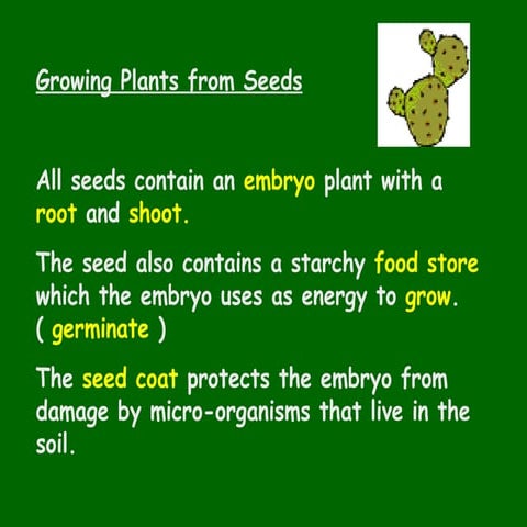 PROPAGATION BY SPECIALIZED VEGETATIVE STRUCTURE.pptx