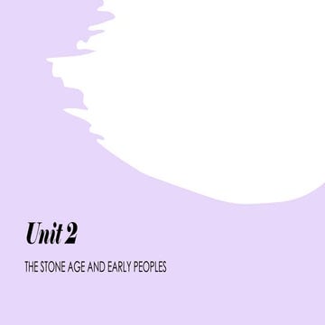 The stone age | PPTX