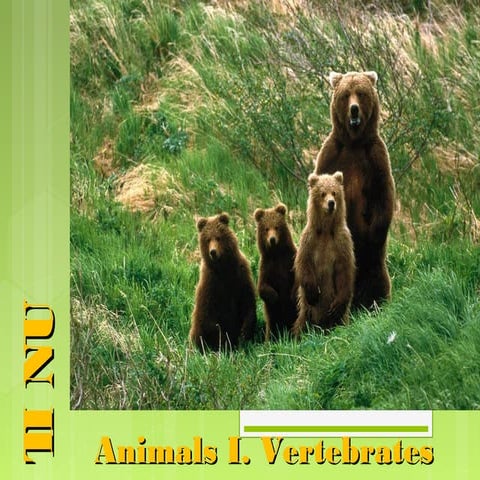 Unit 2 presentation | PPT