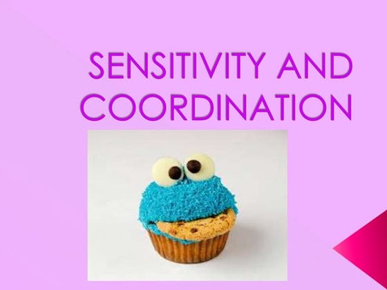 Sensitivity and Coordination by Marcos | PPT