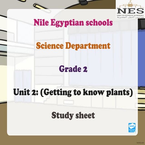 Getting to Know Plants (Grade 2) | PDF