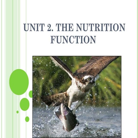 Unit 2 The nutrition function | PPT