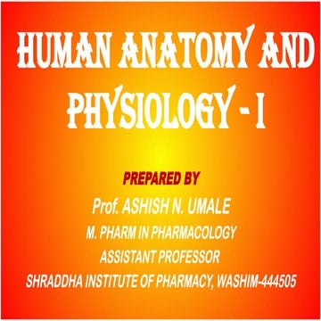 Hydrocarbons_Animated_Student_Friendly.pptx