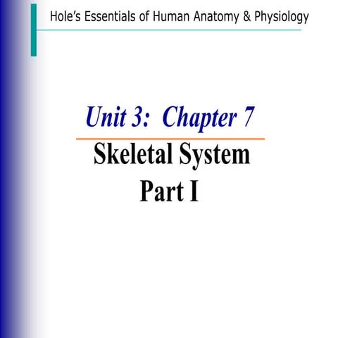 skeletal | PPT