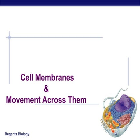 Unit 3 Ch 7.2 Cell Membranes | PPT