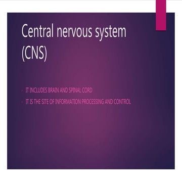 Central Nervous system CNS | PPT