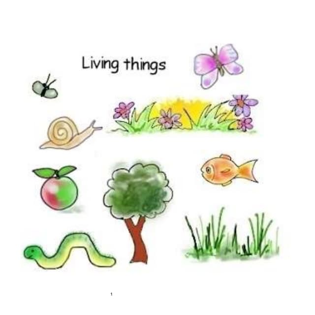 Unit 3 living things pttx | PPTX