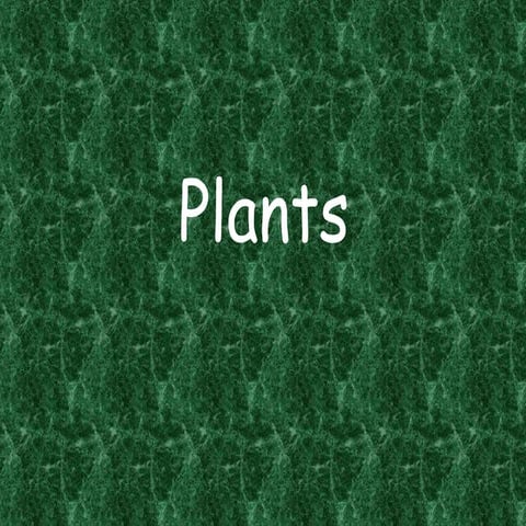 Plants | PPT