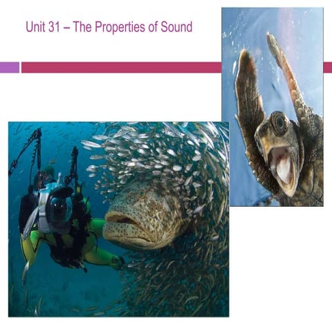 Unit 31 Sound | PPTX