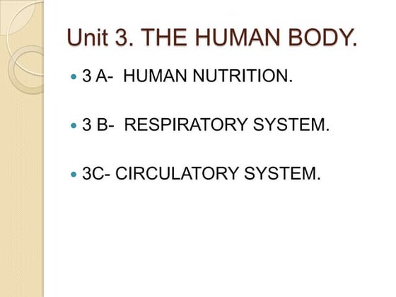 Unit 3 Digestive and Respiratory Systems | PPTX | Chemistry | Science