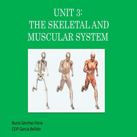 Unit 3 6th: The locomotor system | PPTX | Bone and Joint Conditions ...