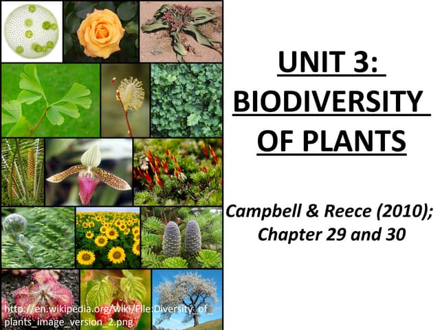 Animal biodiversity | PPTX