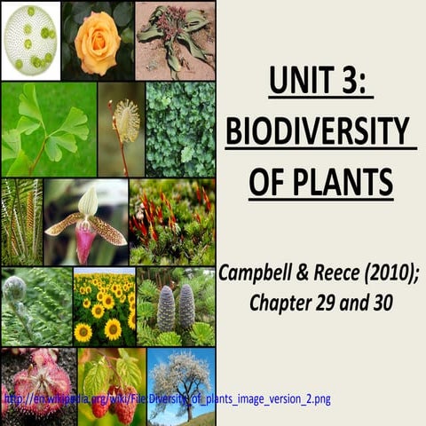 Unit 3 biodiversity of plants new | PPT