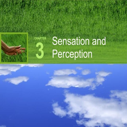 Unit 3: Sensation and Perception | PPT
