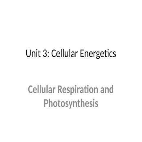 High School Biology Unit 3 Cellular Energetics | PPT