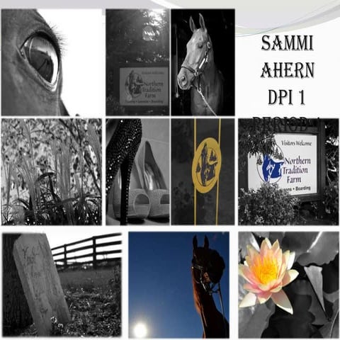 Sammi Ahern | PPT