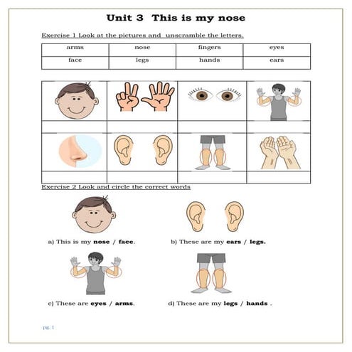 Family and Friends 3 Unit 3 Special Edition | PDF