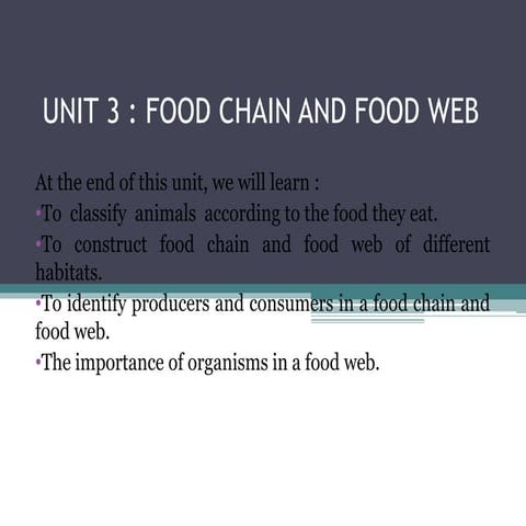 Food chain/Food web vocabulary words | DOCX