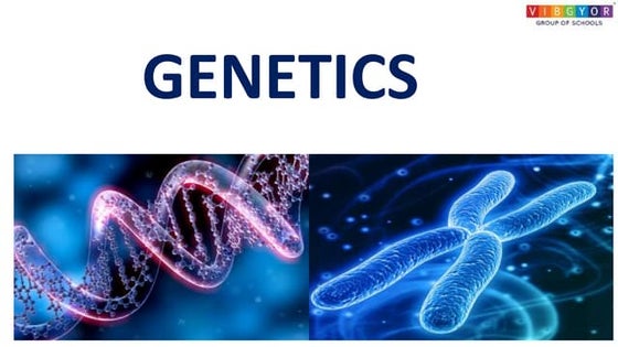 Genetics, chromosomes & their types, gene | PPT