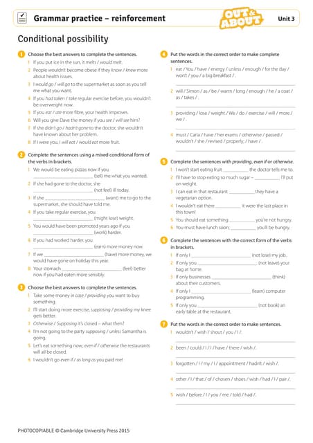 Unit 3 grammar practice standard | PDF
