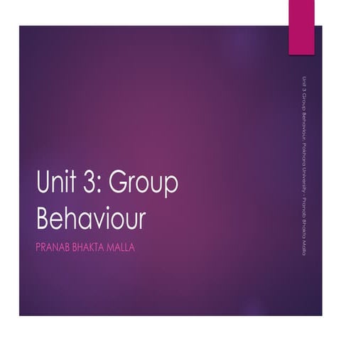 Unit 3 Group Behaviour_OB_Presentation.pdf