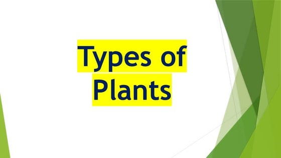 Plants 3rd grade | PPT