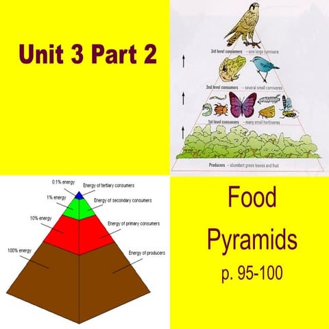 Unit 3 lesson 2 food pyramids | PPT
