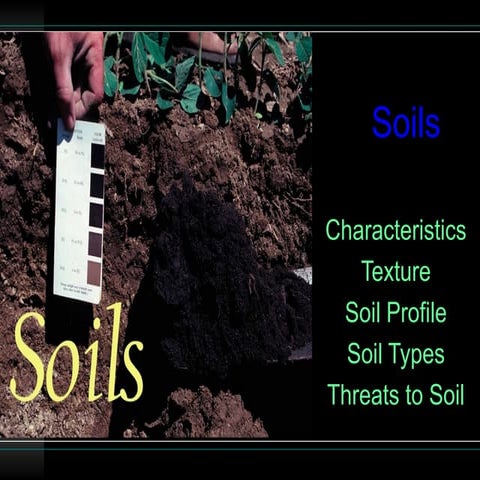 Unit 3 lesson 4a soil 1 | PPT