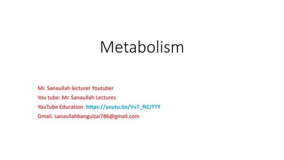 Introduction to metabolism | PPT