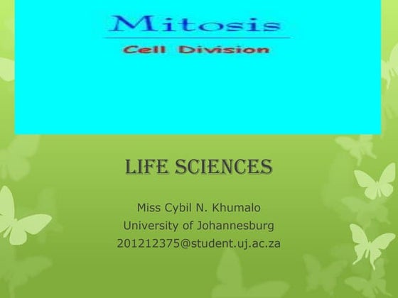 Mitosis | PPT