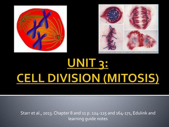 Mitosis | PPT