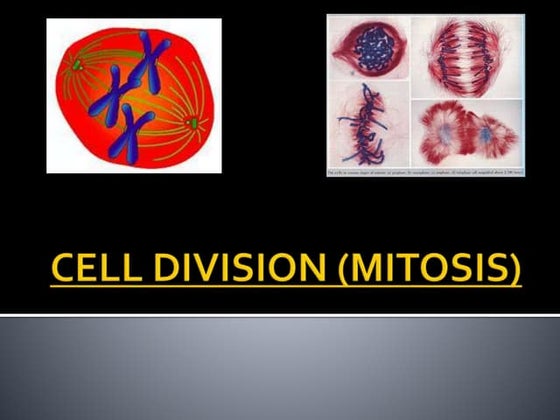 Mitosis | PPTX