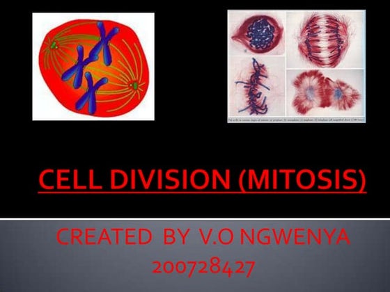 Cell division | PPT