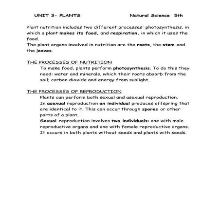 Unit 3 natural science 5th | PDF