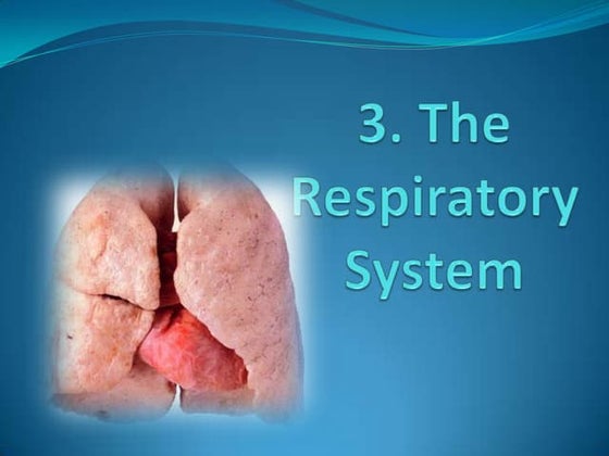 Grade 8 - Respiratory System | PPT