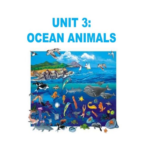 Unit 3 Ocean Animals | PPTX