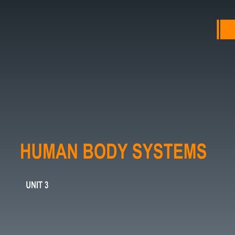 Unit 3 - Octavo Basico (Human Body Systems) | PPT