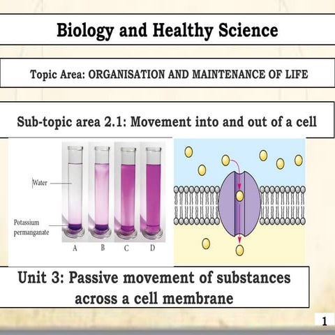 Unit 3 Passive movement of substances.pdf