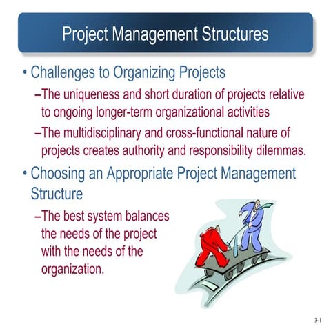 Unit 3 Project Organization.pptx related to MBA flied | PPT